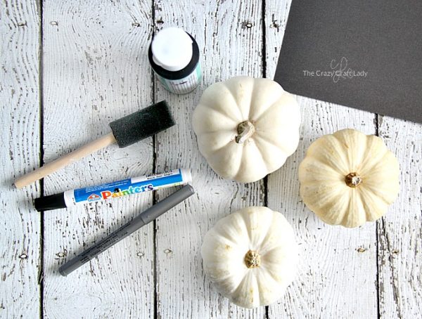Simple Halloween Craft: Black Cat Mini Pumpkins - The Crazy Craft Lady