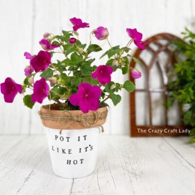 Funny Saying Clay Pot Craft - How to Decorate Small Terracotta Pots