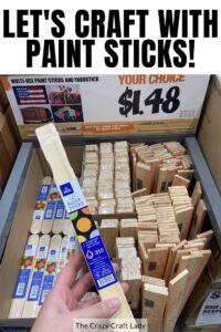 Paint Stir Stick Projects and Craft Ideas