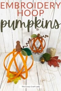 Embroidery Hoop Pumpkin Orbs - an Easy Fall Craft