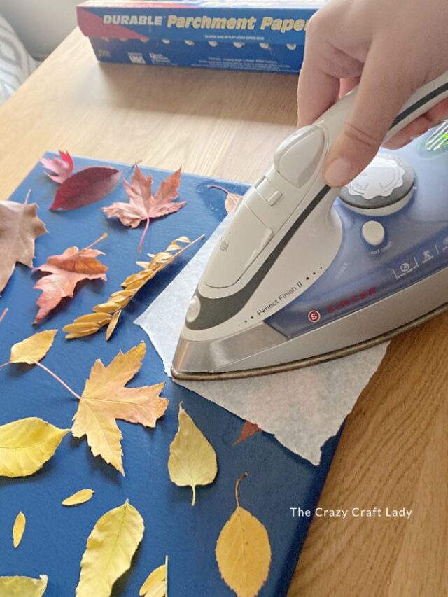 Fall Leaf Canvas Art using Mod Podge and Fresh Fall Leaves - The Crazy ...