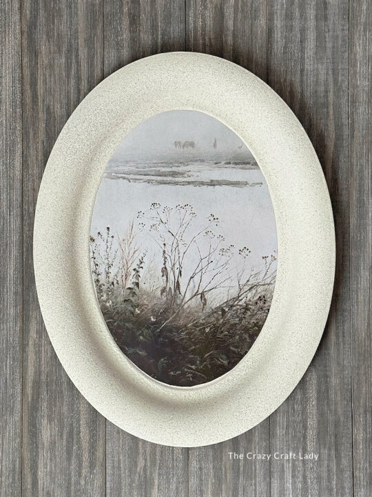 Plastic Serving Tray Picture Frame - Dollar Store Craft - The Crazy ...
