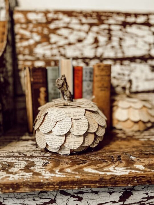 Fall Upcycled Crafts - The Crazy Craft Lady