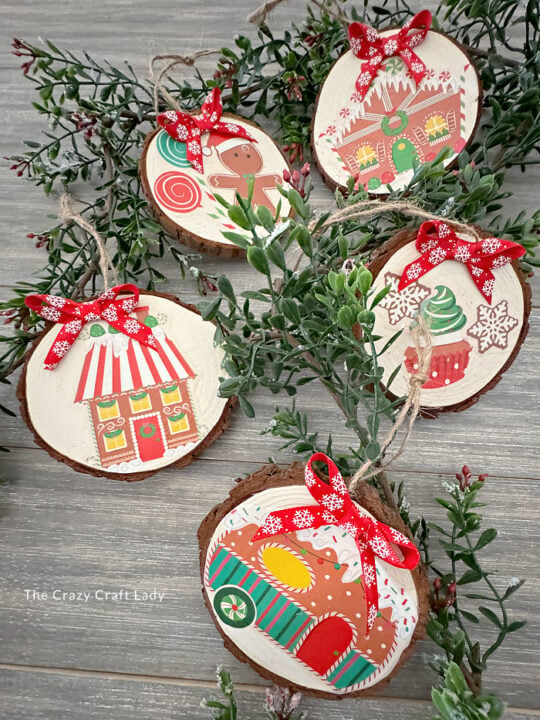 Window Cling Crafts - The Crazy Craft Lady