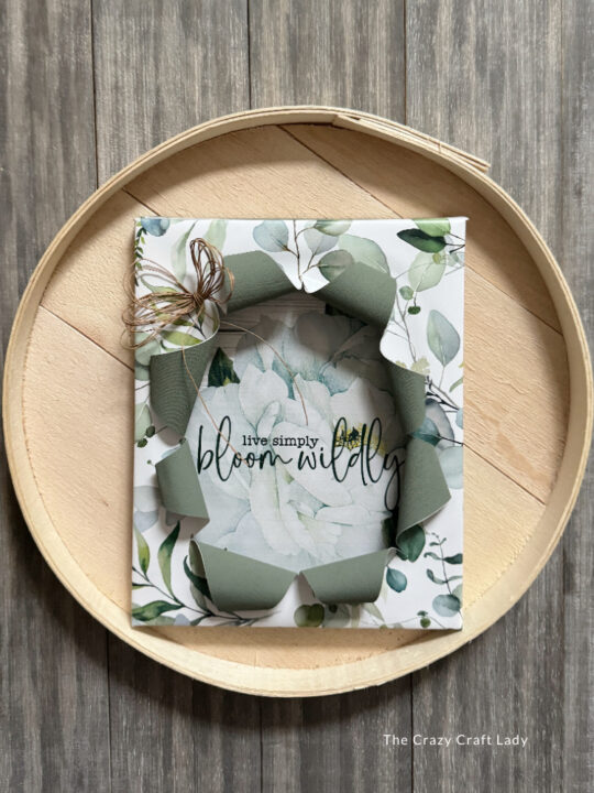 Busted Canvas Craft Ideas - The Crazy Craft Lady