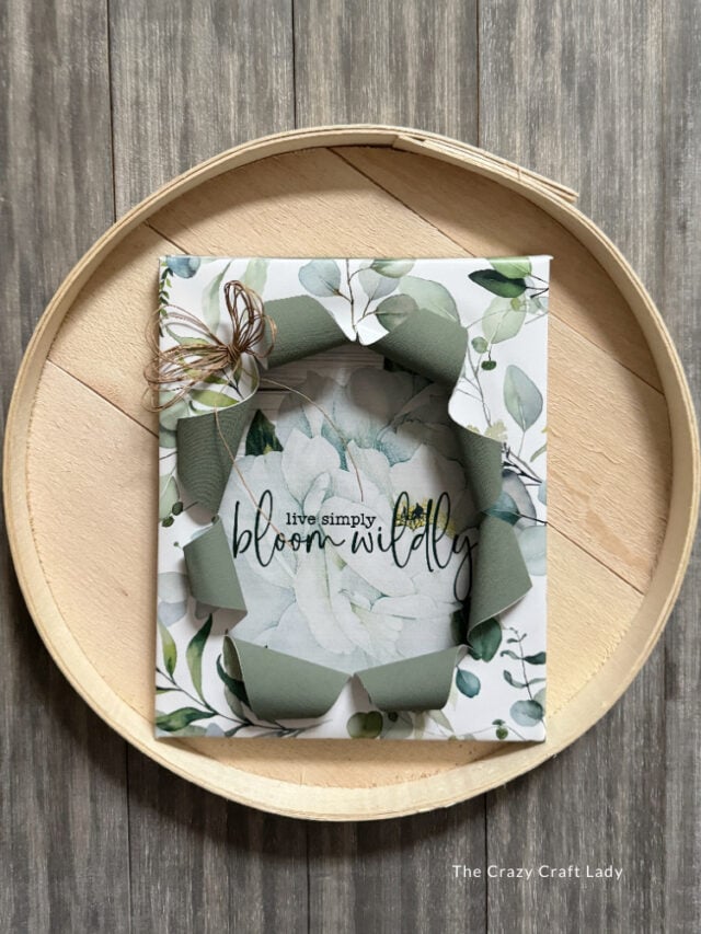 Busted Canvas Craft Ideas - The Crazy Craft Lady