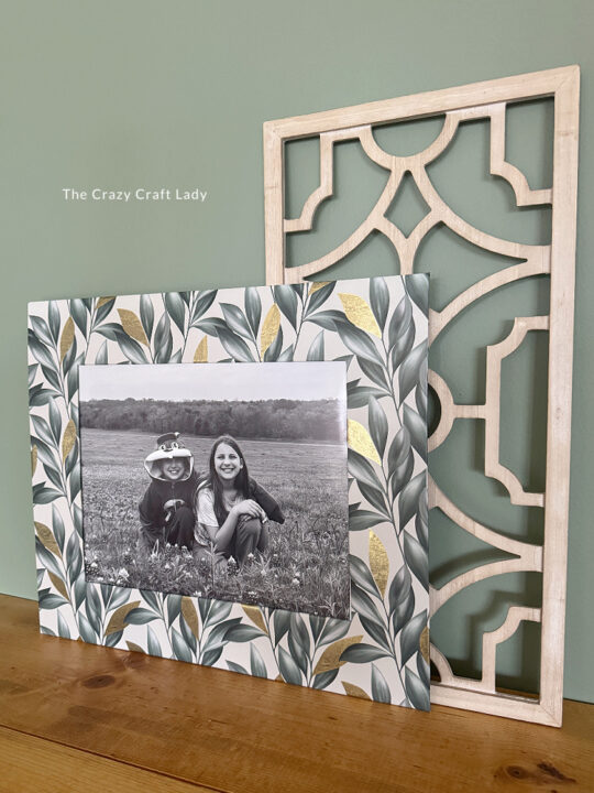 DIY Giant Cardboard Picture Frame - The Crazy Craft Lady